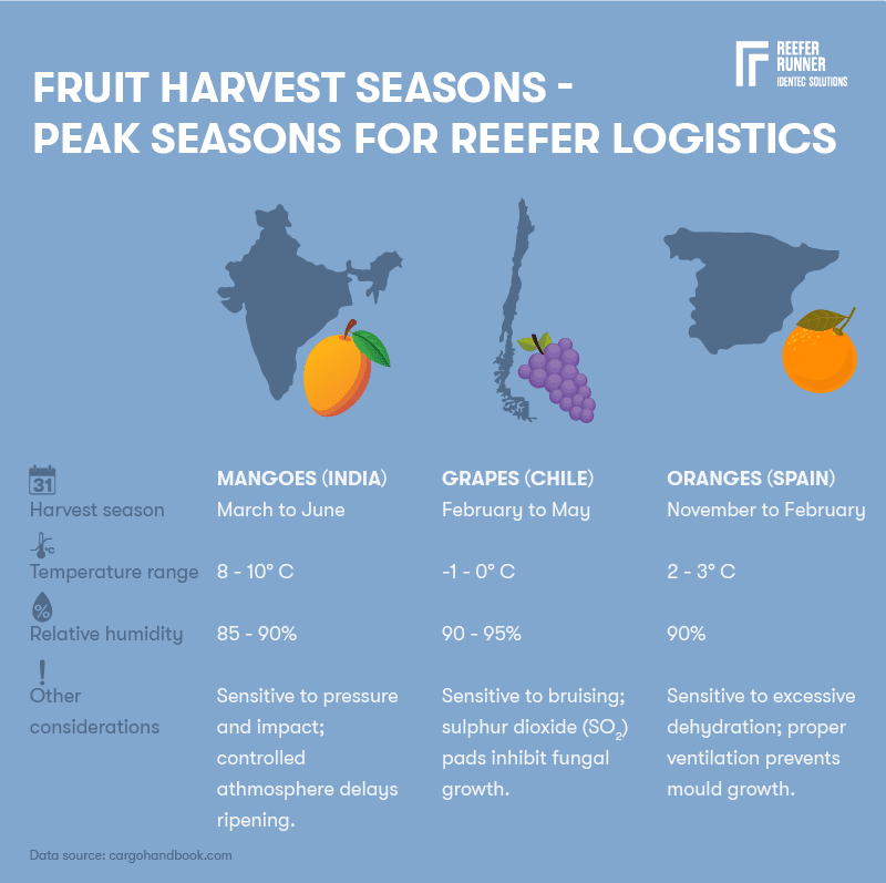 Reefer Trends: Optimising Operations in High-Demand Seasons