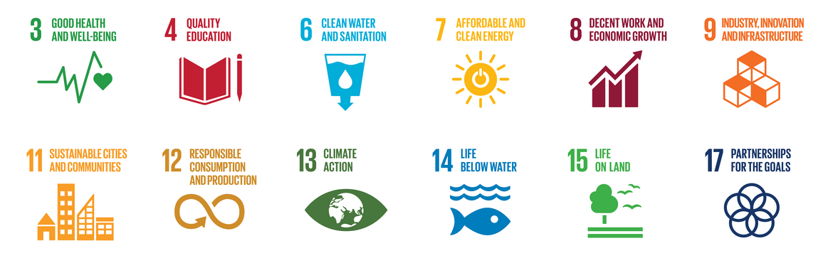 The green port concept