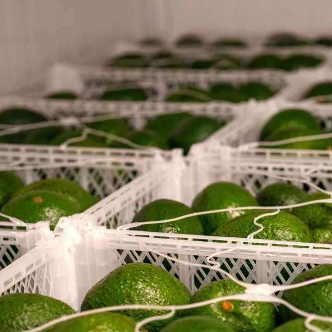 Reefer Monitoring