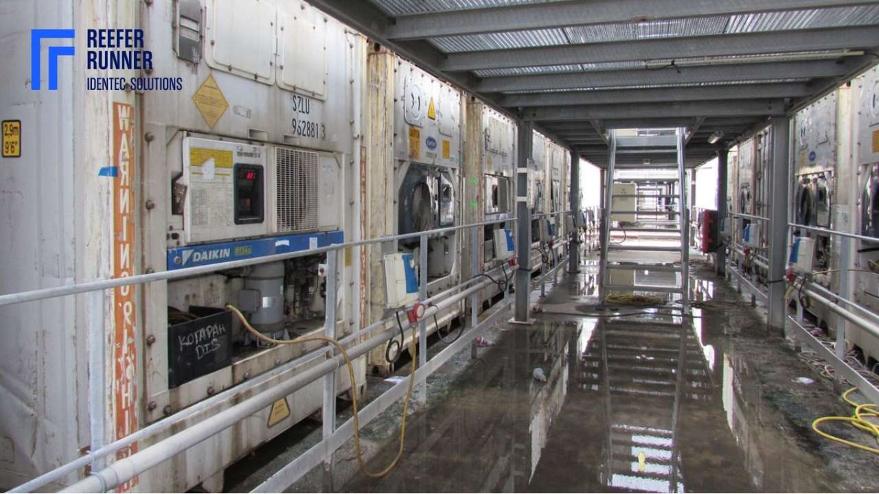 Just do it: Monitor your reefer energy consumption