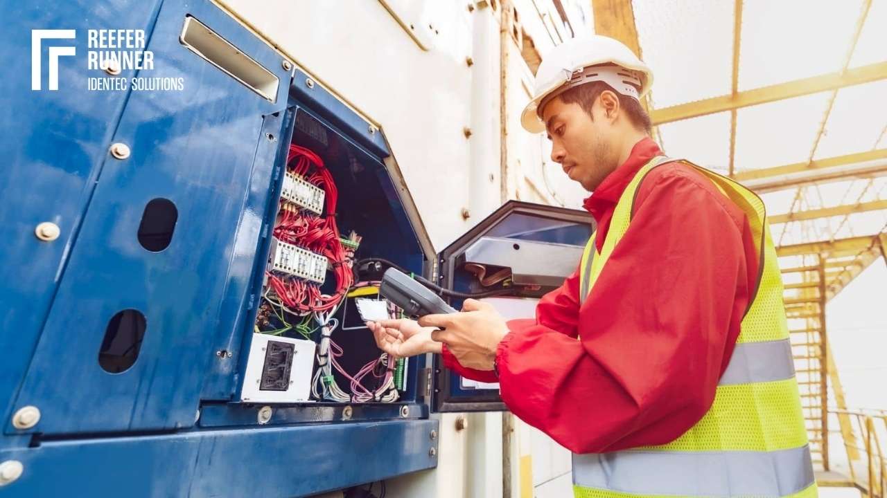 101 Reefer Container: Everything you need to know