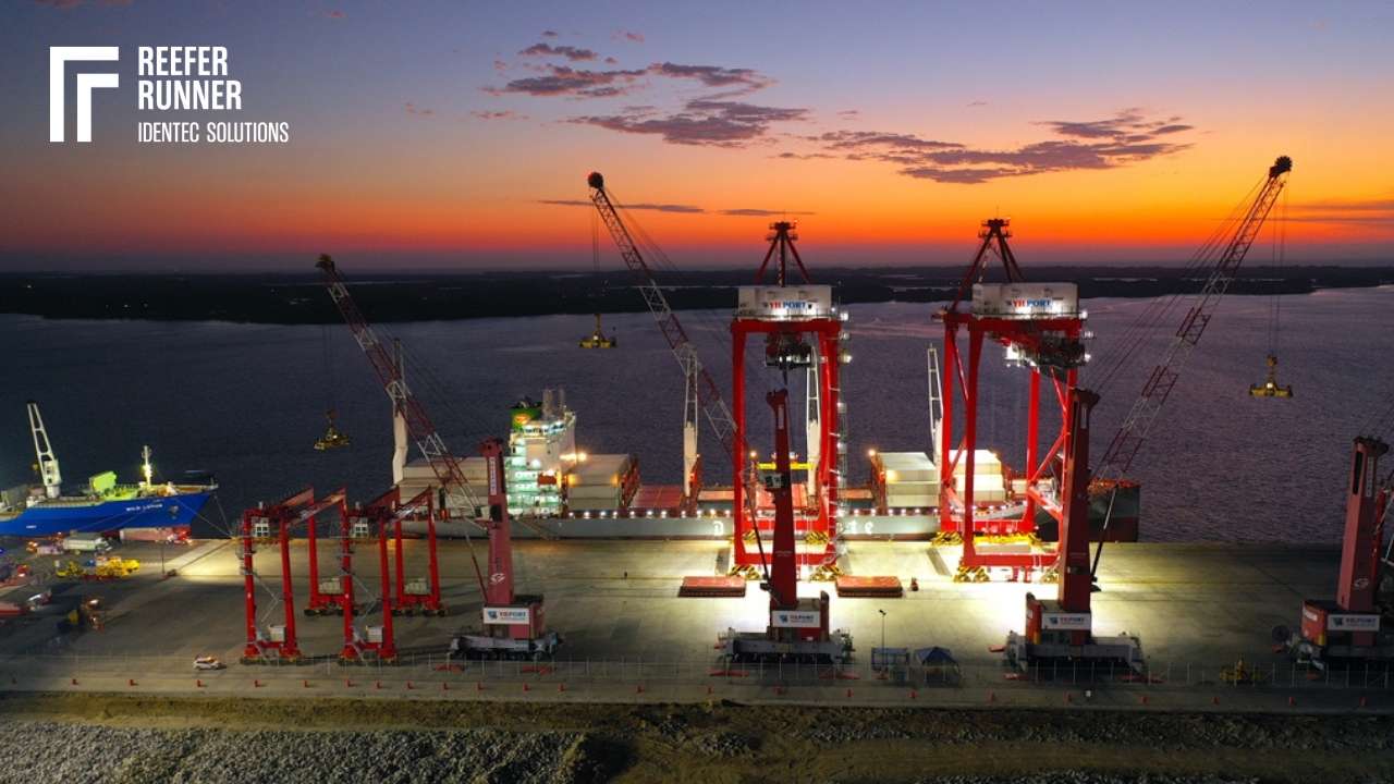 Reefer Operation Efficiency: Global Terminal Operator Yilport goes live ...