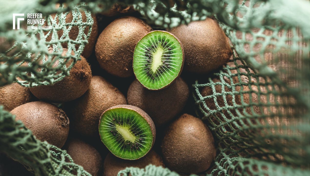 Kiwi Transport: The Long Chill Before the First Bite