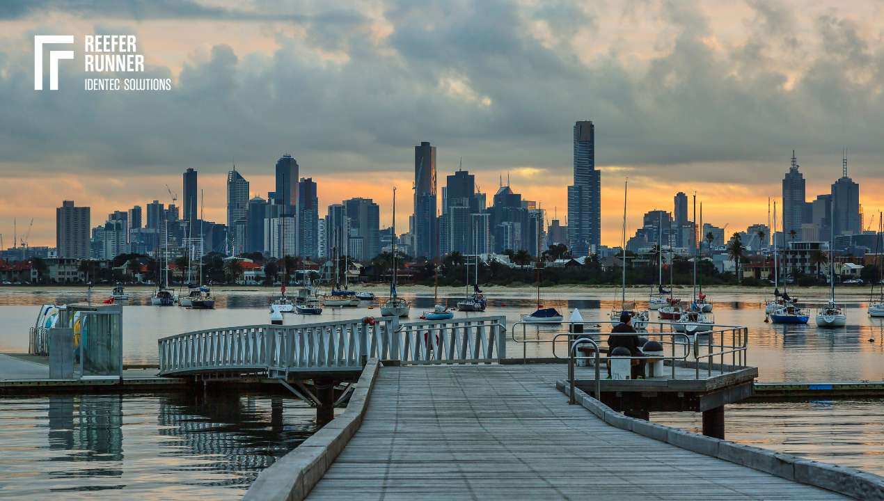 Reefer Equipment: Mainfreight upgrades services with Reefer Runner