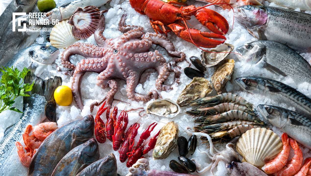 Cold Chain Components: Vital Aspect of a Global Supply